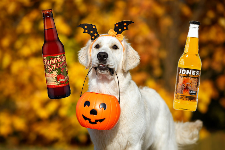 Premium Craft Soda, Beverages USA – Blue Dog Beverage Store